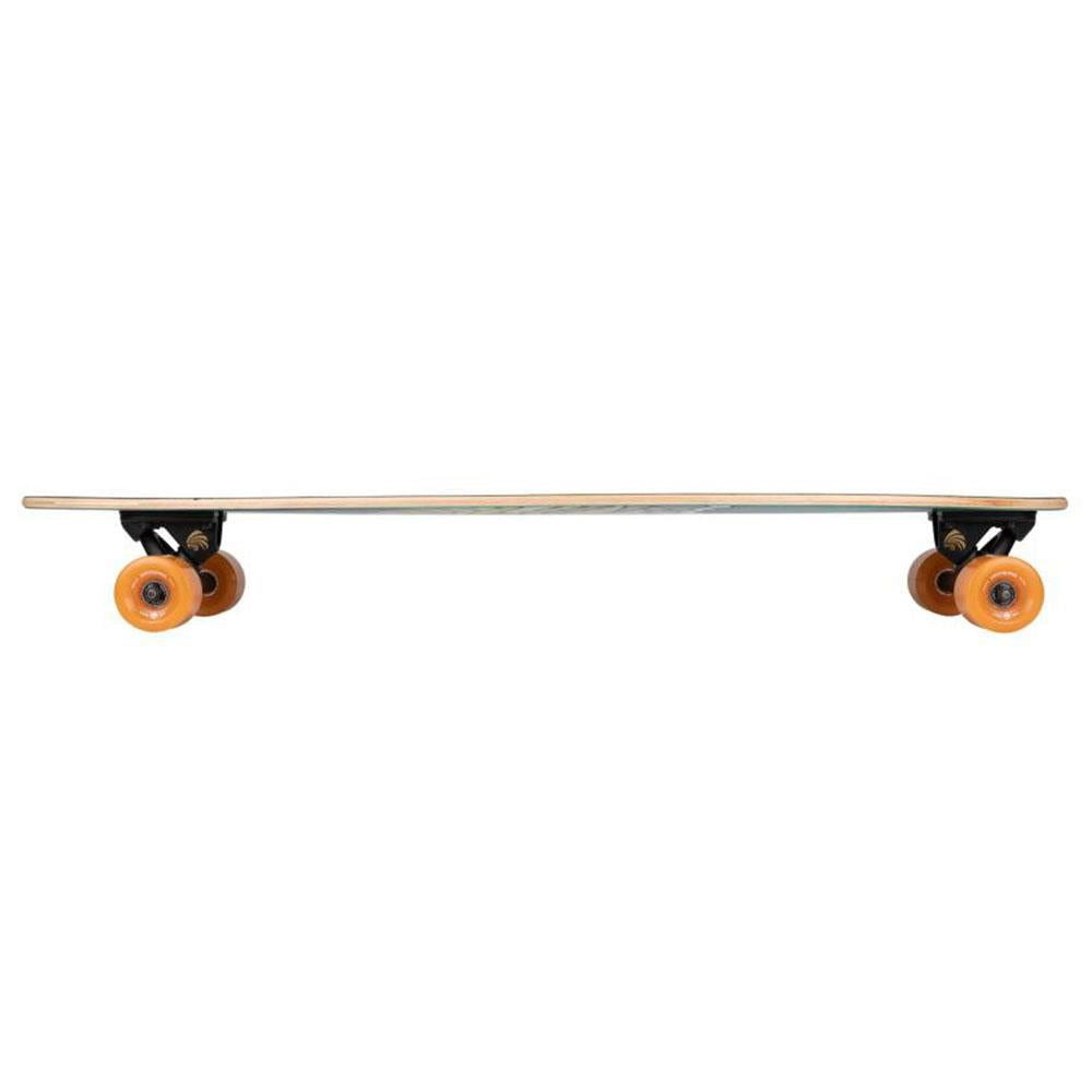 Arbor Artist Fish Performance Complete 37" | Source Skate Co