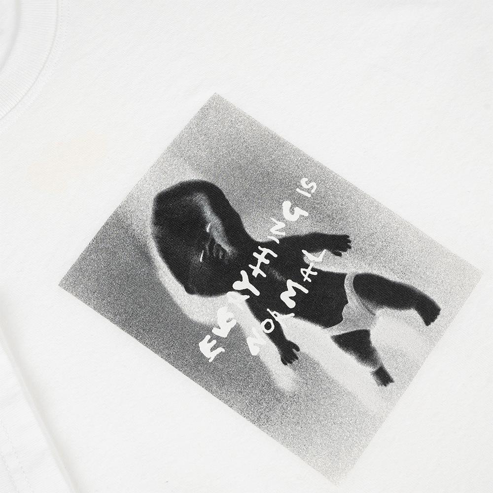 Polar Everything is Normal T-shirt - White | Source Skate Co